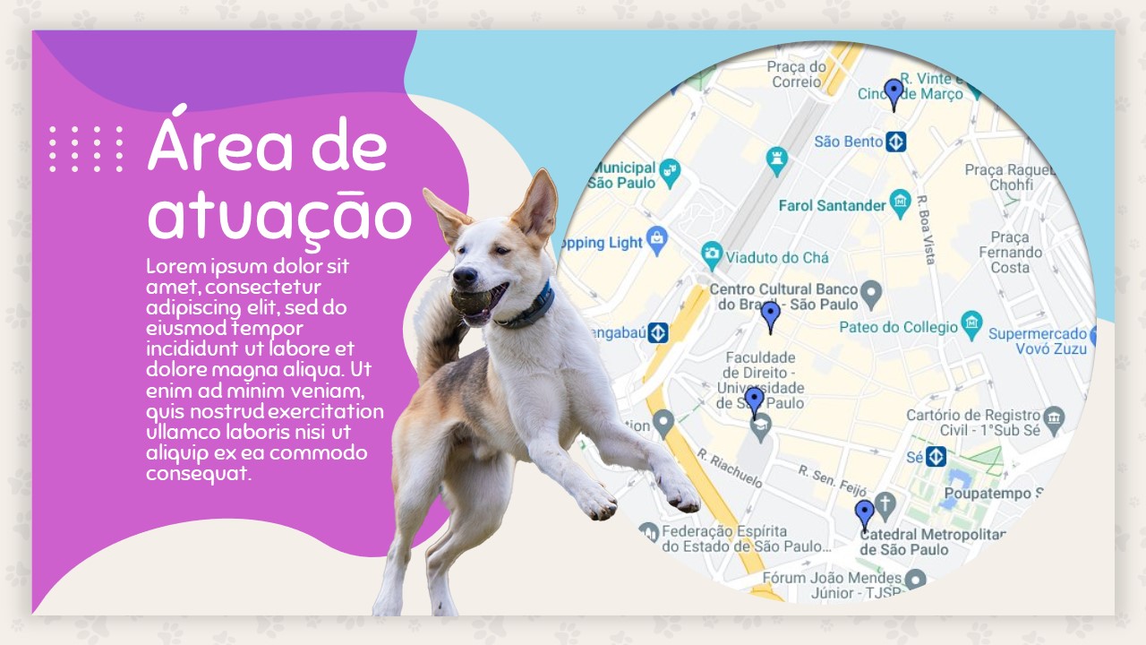 Apresentação dog walker