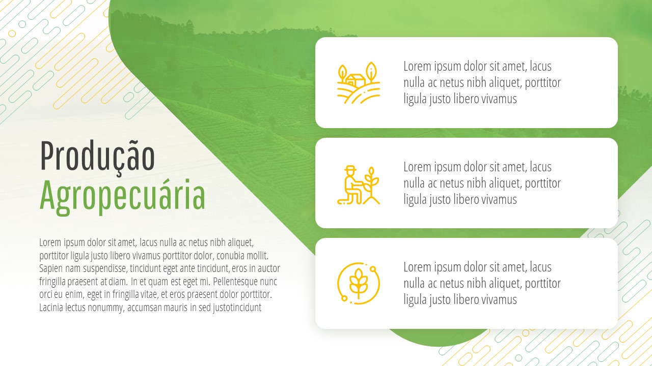 Apresentação De Agronegócio
